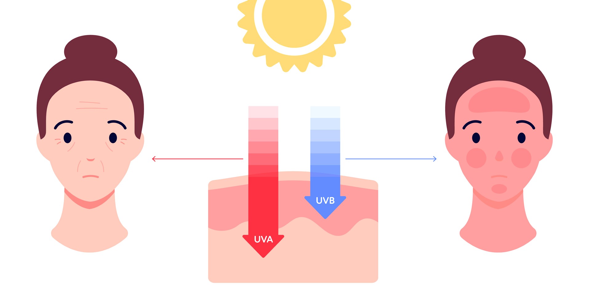 The effects of UV radiation on the skin - GBA Group Cosmetics